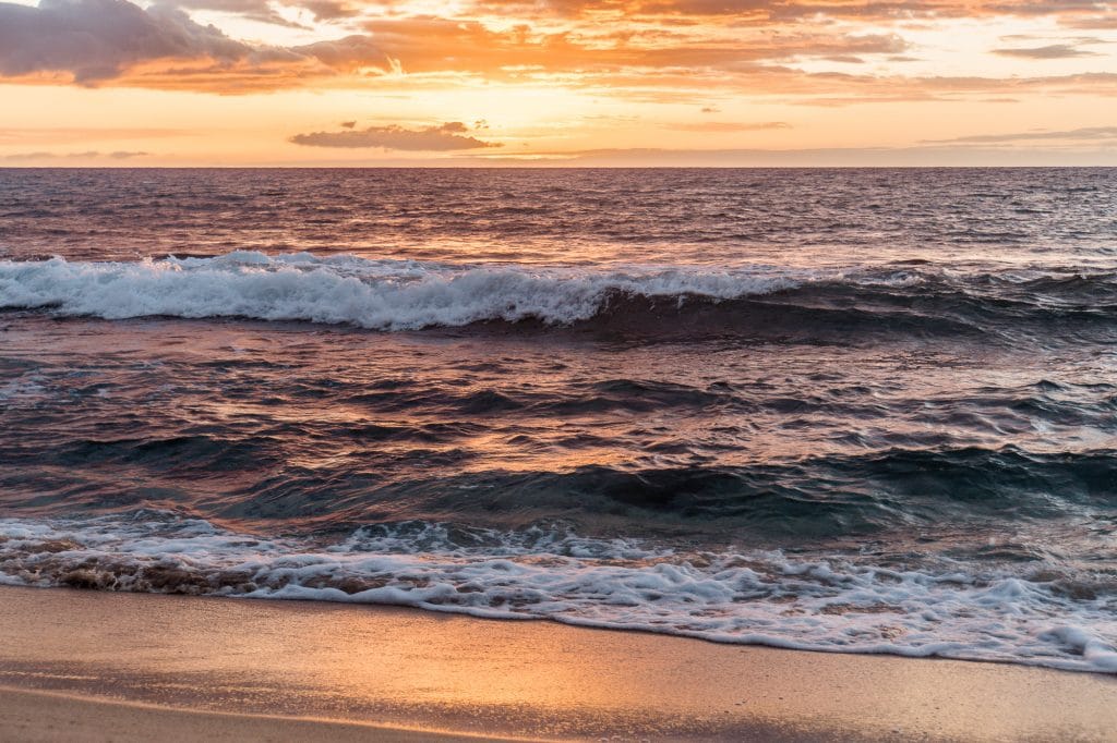 Schönste Strände auf Big Island: 6 Traumorte für die Hawaii Reise