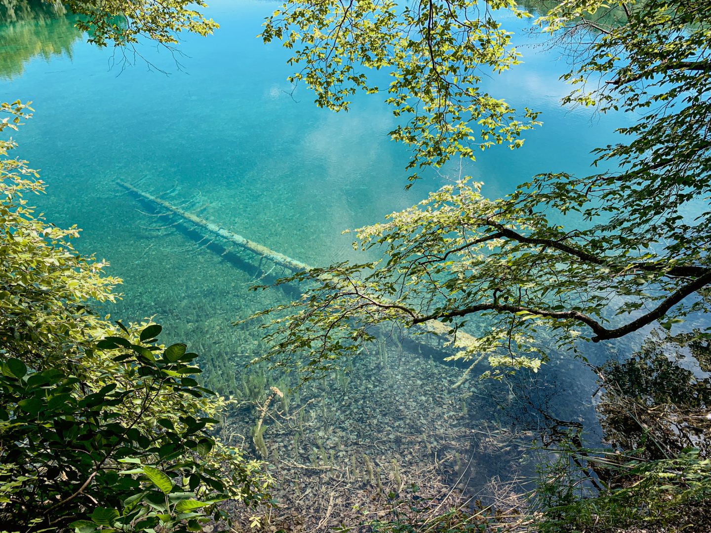 Nationalpark Plitvicer Seen: Tipps für den schönsten Kroatien Nationalpark